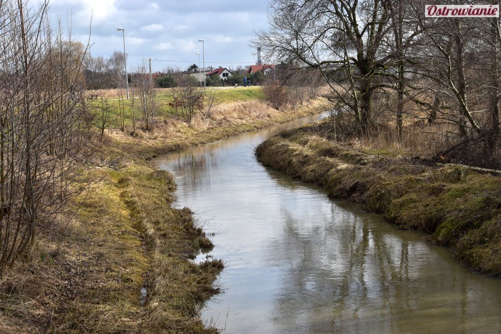 Rzeka Ołobok – Ostrowianie!! Co warto zobaczyć i co ciekawe jest w Ostrowie